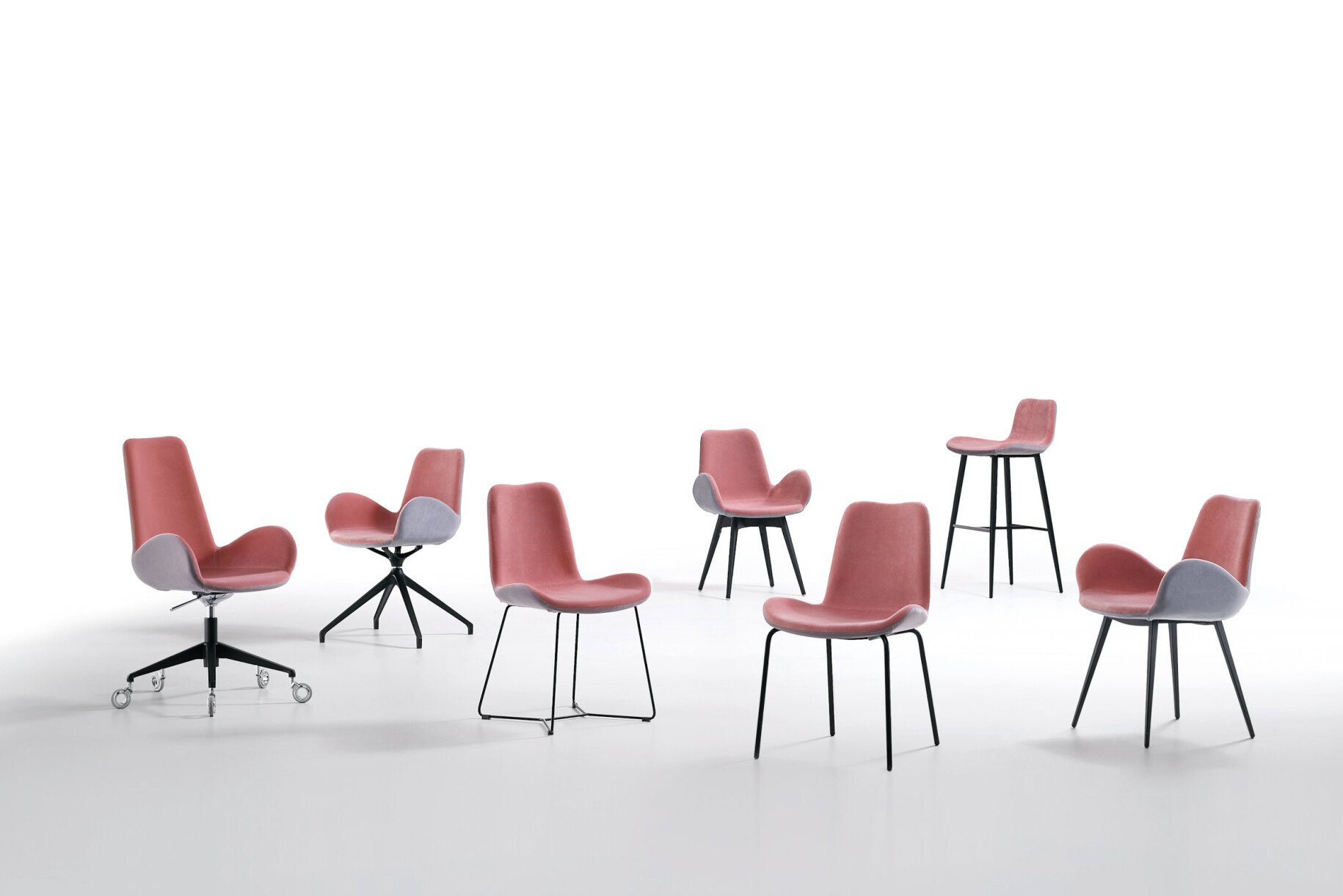 Midj Dalia bestellen? (B2B) - De Projectinrichter